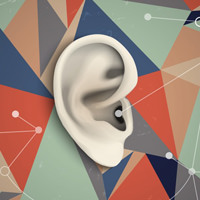 Architecture Designed for the Hearing Impaired